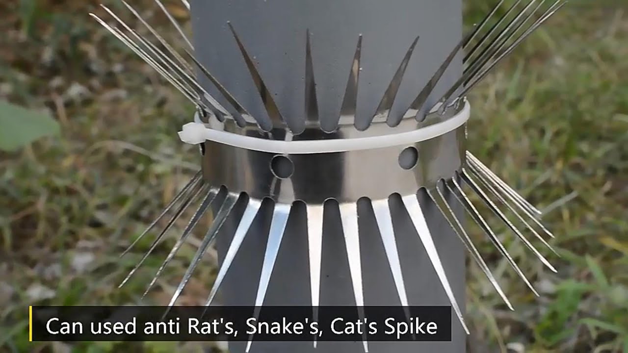 304 stainless steel Anti Climb Spikes can used anti Rat's, Snake's, Cat ...