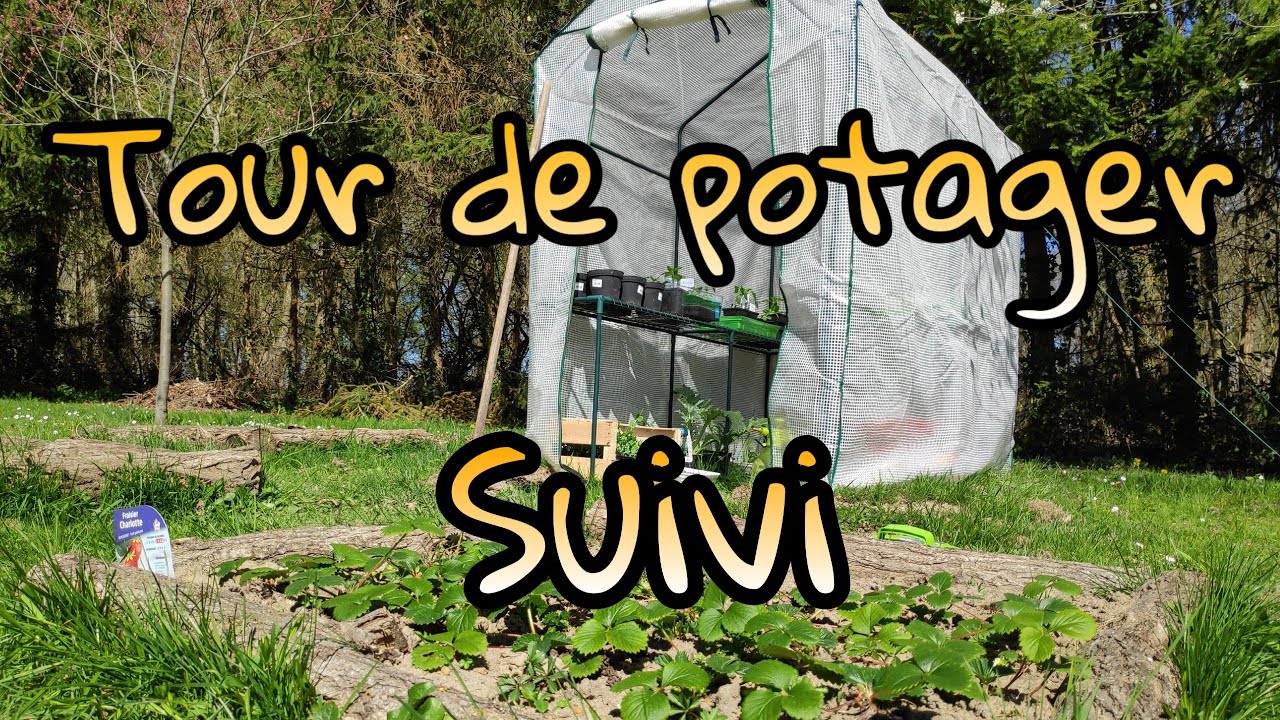 TOUR DE POTAGER ET SUIVIS - YouTube