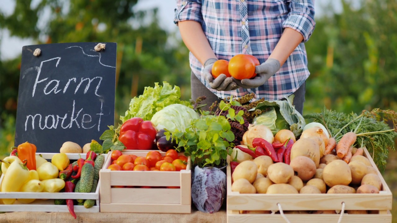 AgriConnect App Promo - YouTube