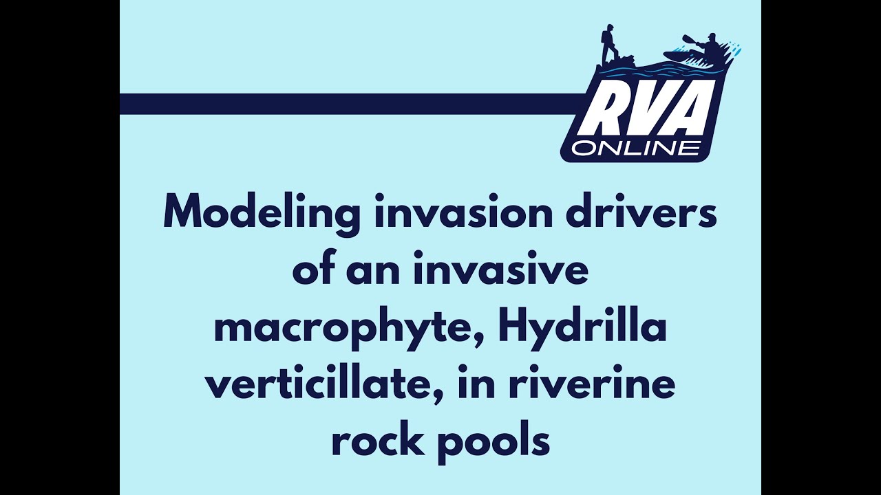 Modeling invasion drivers of an invasive macrophyte, Hydrilla ...