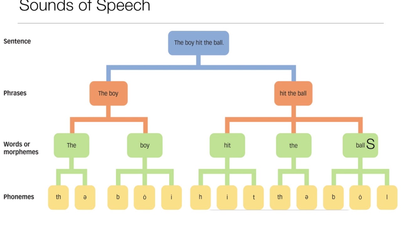 Perception: 11.1 Speech Sounds - YouTube