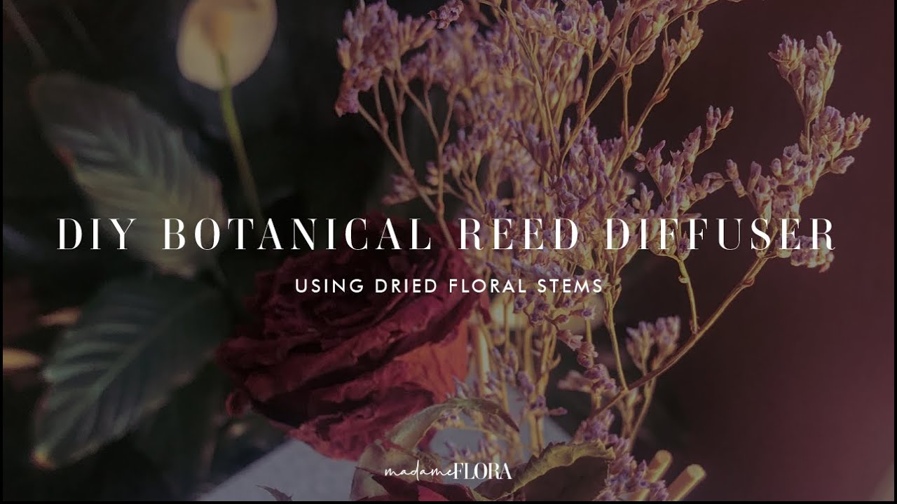 DIY Botanical Reed Diffuser using Dried Floral Stems - YouTube