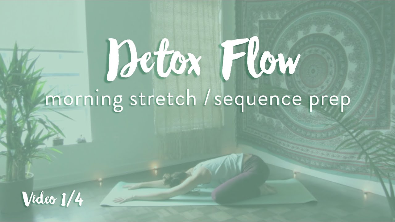 Yoga Detox Flow - Morning Stretch/Sequence Prep (part 1/4) - YouTube