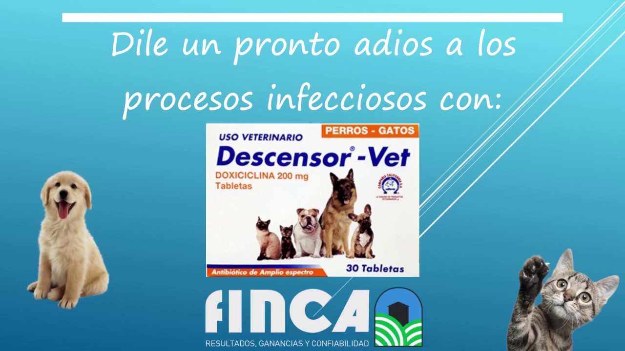 Descensor Vet Finca Hn - YouTube