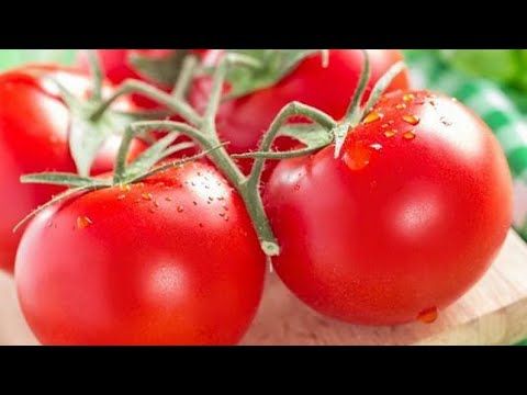 Qışa hazırlıq pamidor salatı (Domates Salatası)