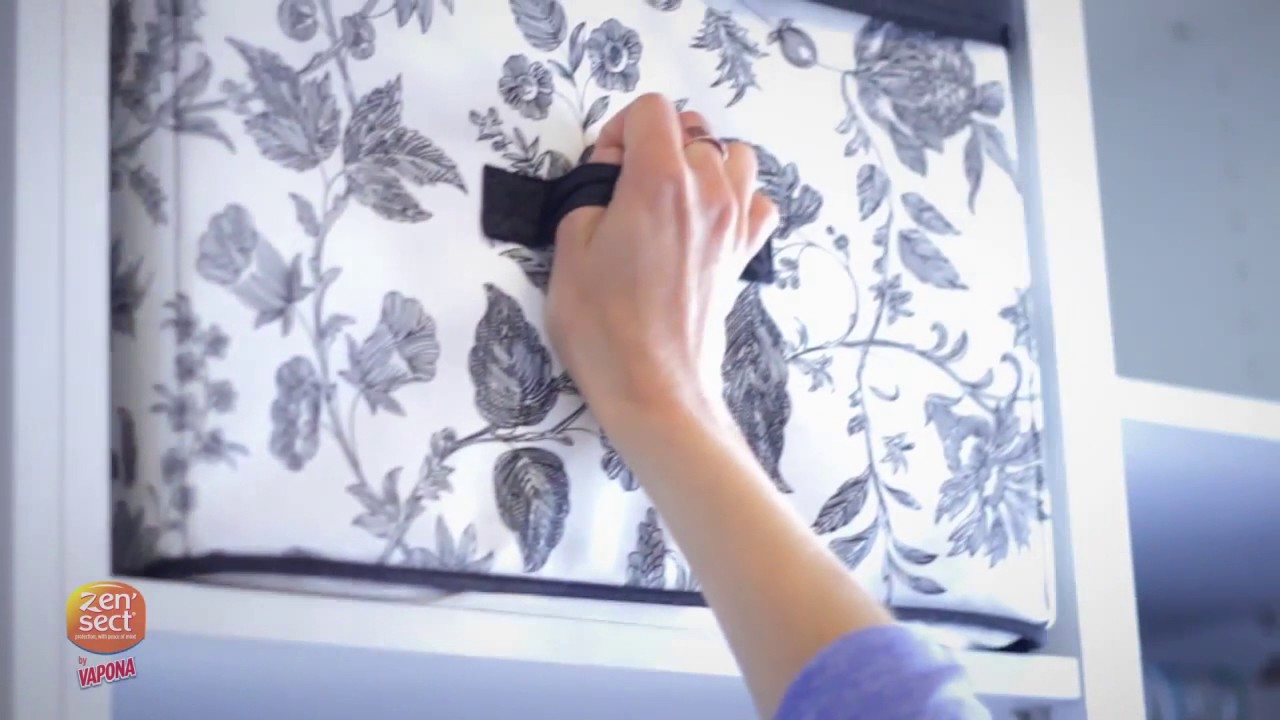 Zensect Moth Proofer Balls - YouTube