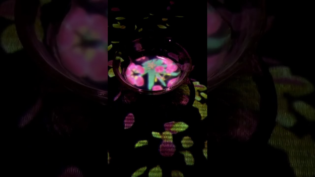 teamLab - EN Tea House - YouTube