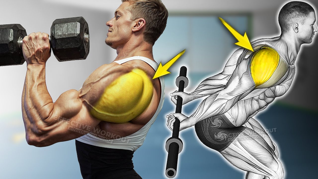 6 Best Rear Delt Exercises at Gym - YouTube