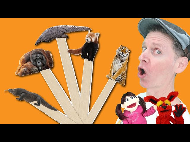 Asian Wild Animals Part 2 | Pop Sticks Song with Matt | Dream English ...