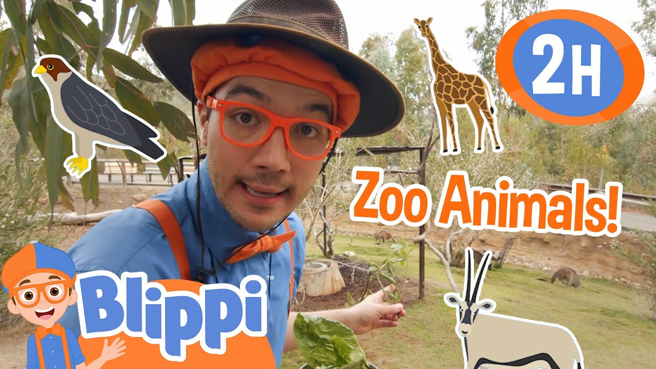 Blippi in The Jungle Safari Park! | Animals for Kids | Funny Cartoons ...