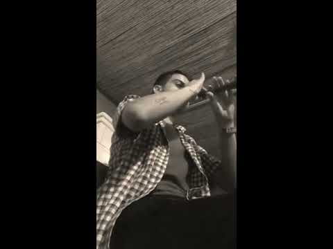 CEM ÇELİK & HALAYLAR ZURNA DİDİM ALTINKUM