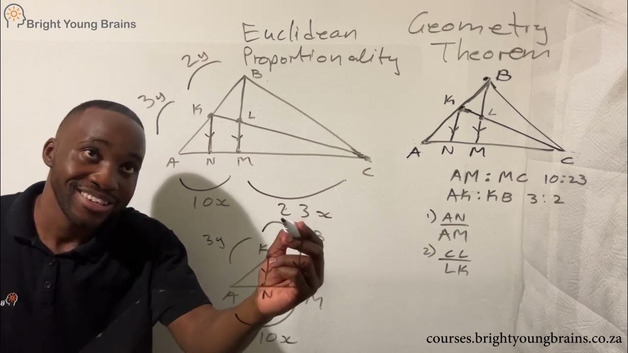 Euclidean Geometry Common Proportionality grade 12 maths exam question - YouTube