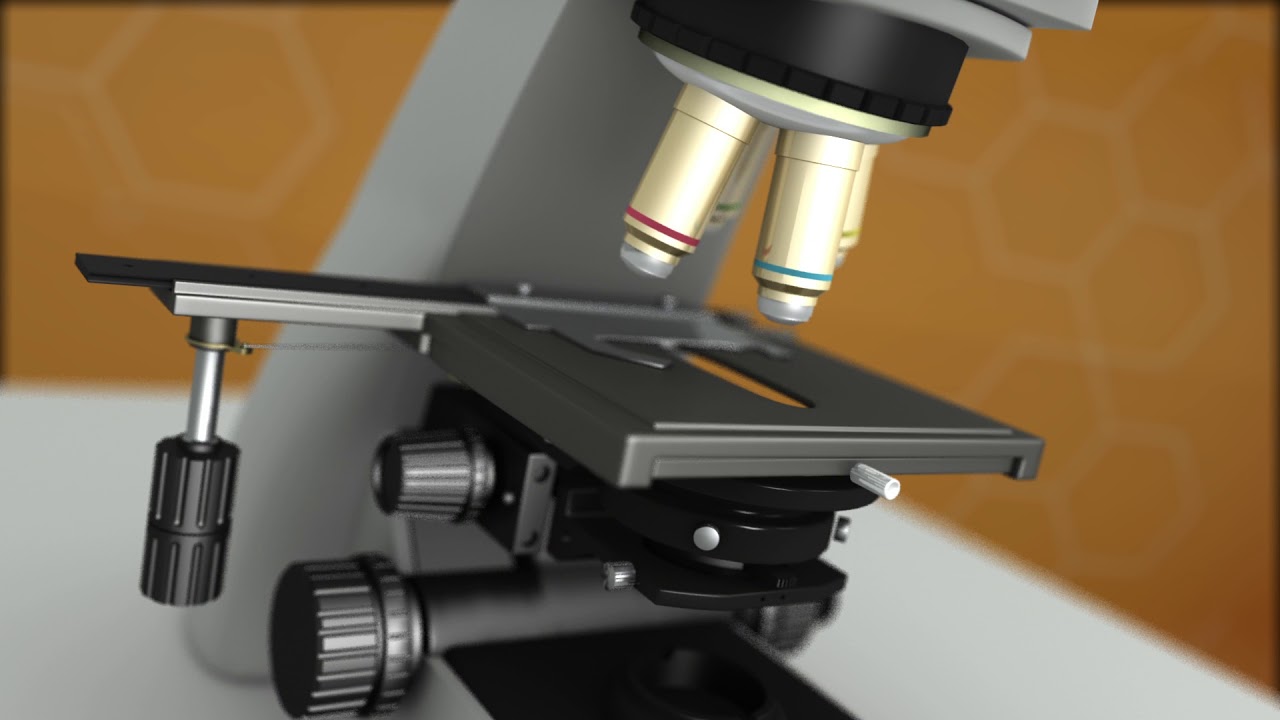 KP - Animation - USCAP Microscope - YouTube