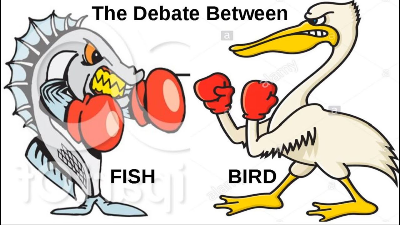 The Debate Between Bird and Fish (A Comedic Retelling) - YouTube
