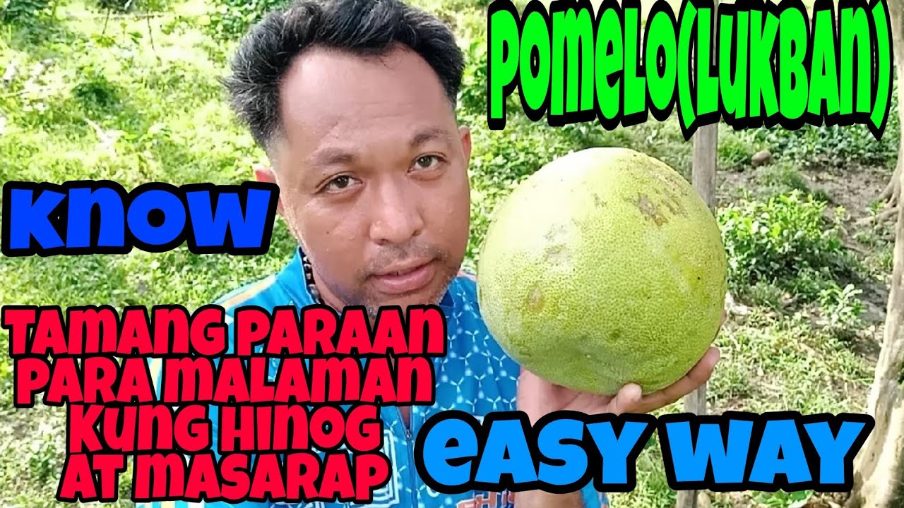 | lukban Fruit ( Pomelo) | Buhay province | Sonny Larosa - YouTube
