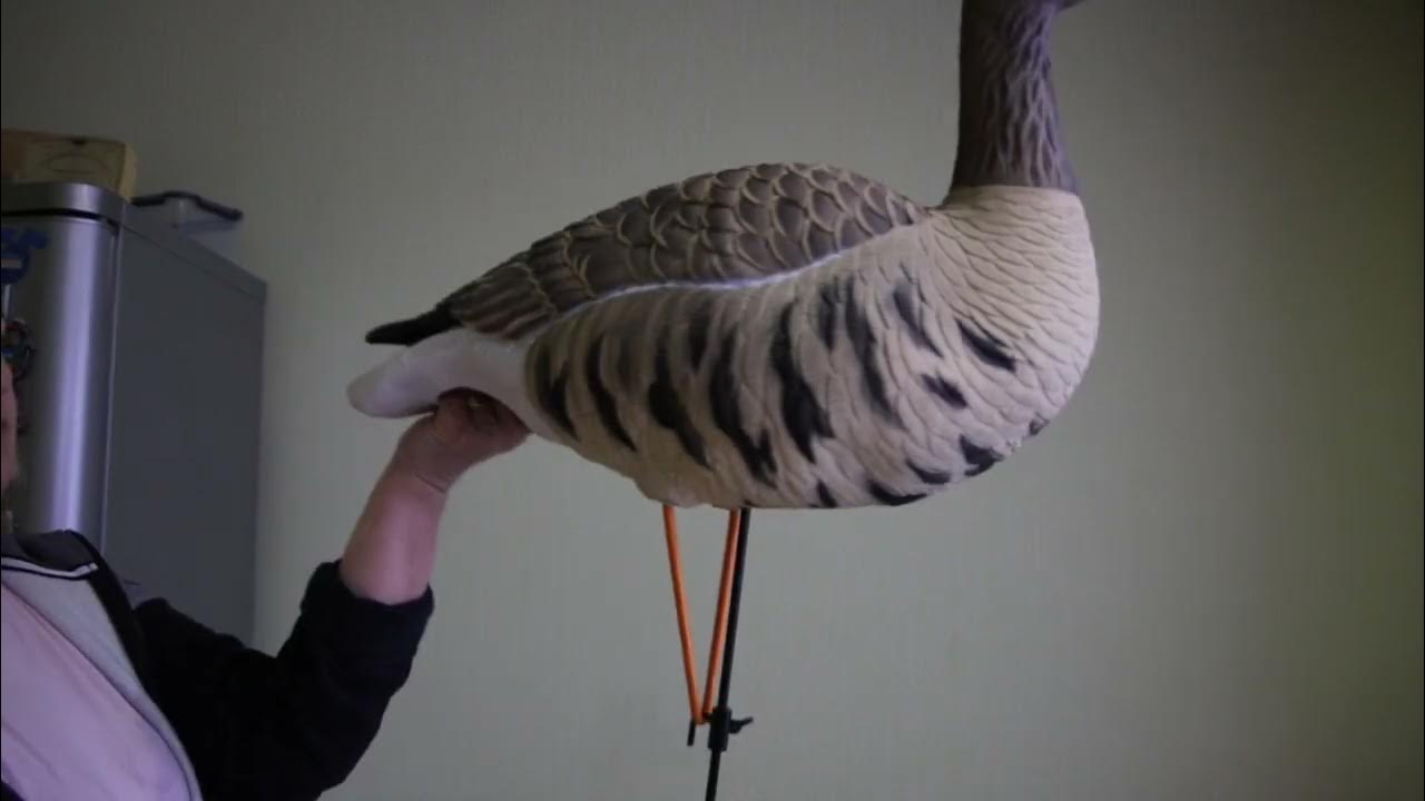Гусиные чучела Оскар Декойс модель Avian Mix 3 D - YouTube