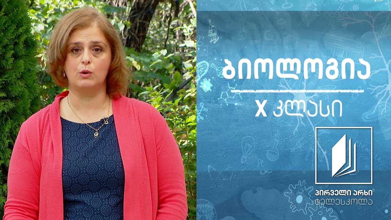 ბიოლოგია X კლასი ნუკლეინის მჟავები დნმ და რნმ ტელესკოლა Youtube