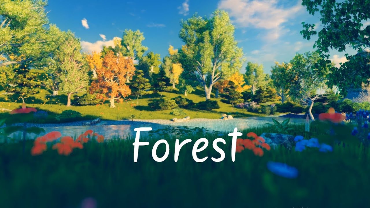 Forest | A Chill Mix - YouTube