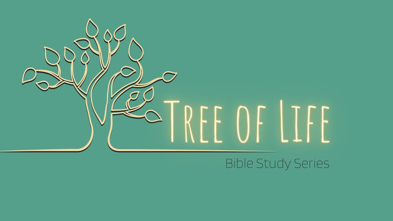 Bible Study: Tree of Life - Week 3 - YouTube