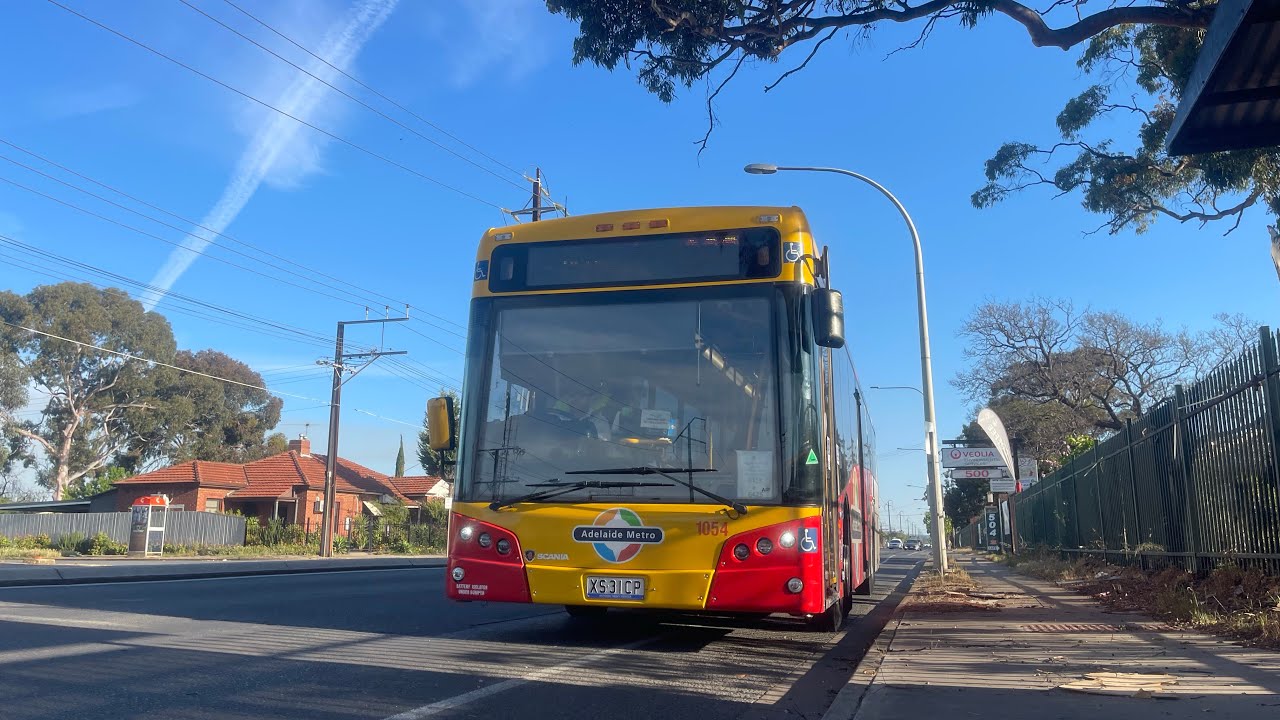 Torrens Transit Scania K32OUB #1054 Doing 239 Route On 19/10/23 At 6 ...