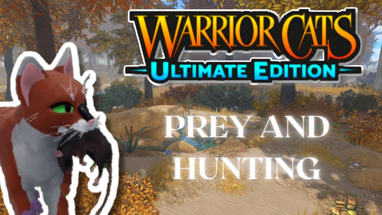 Find Out What Happened During the 2nd WCUE Testing Session! - YouTube