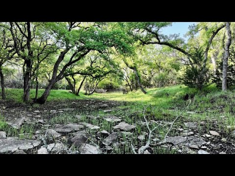 Smith Ranch Lampasas, TX Hunting Land - YouTube