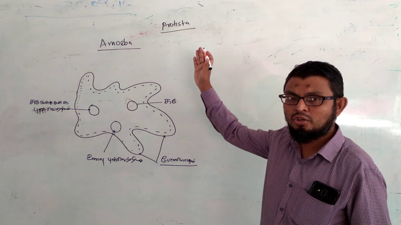 Amoeba (tamil) | BIO with Shakeel | Shakeel sir | IQRAH Academy - YouTube