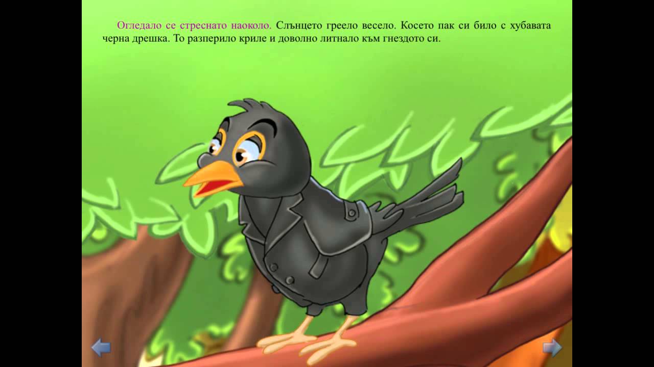 kose bose by Dani - YouTube