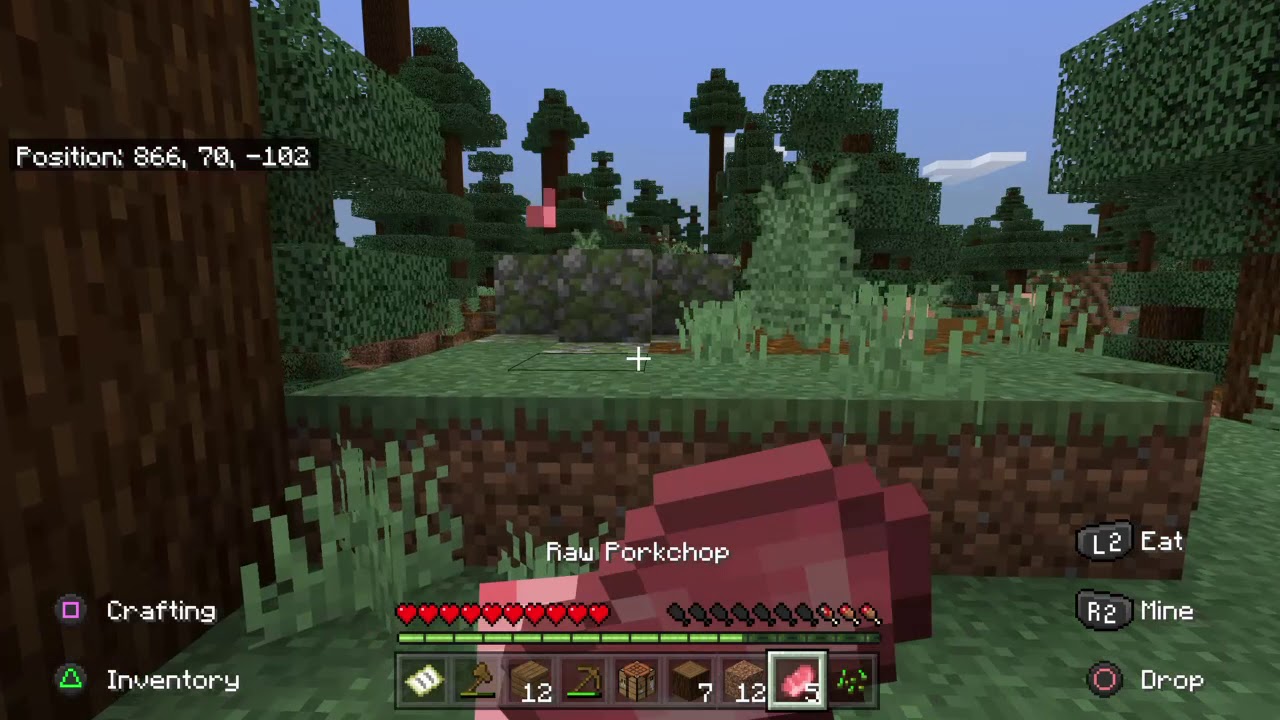 minecraft lets play (ELI LOSES HIS V CARD) - YouTube