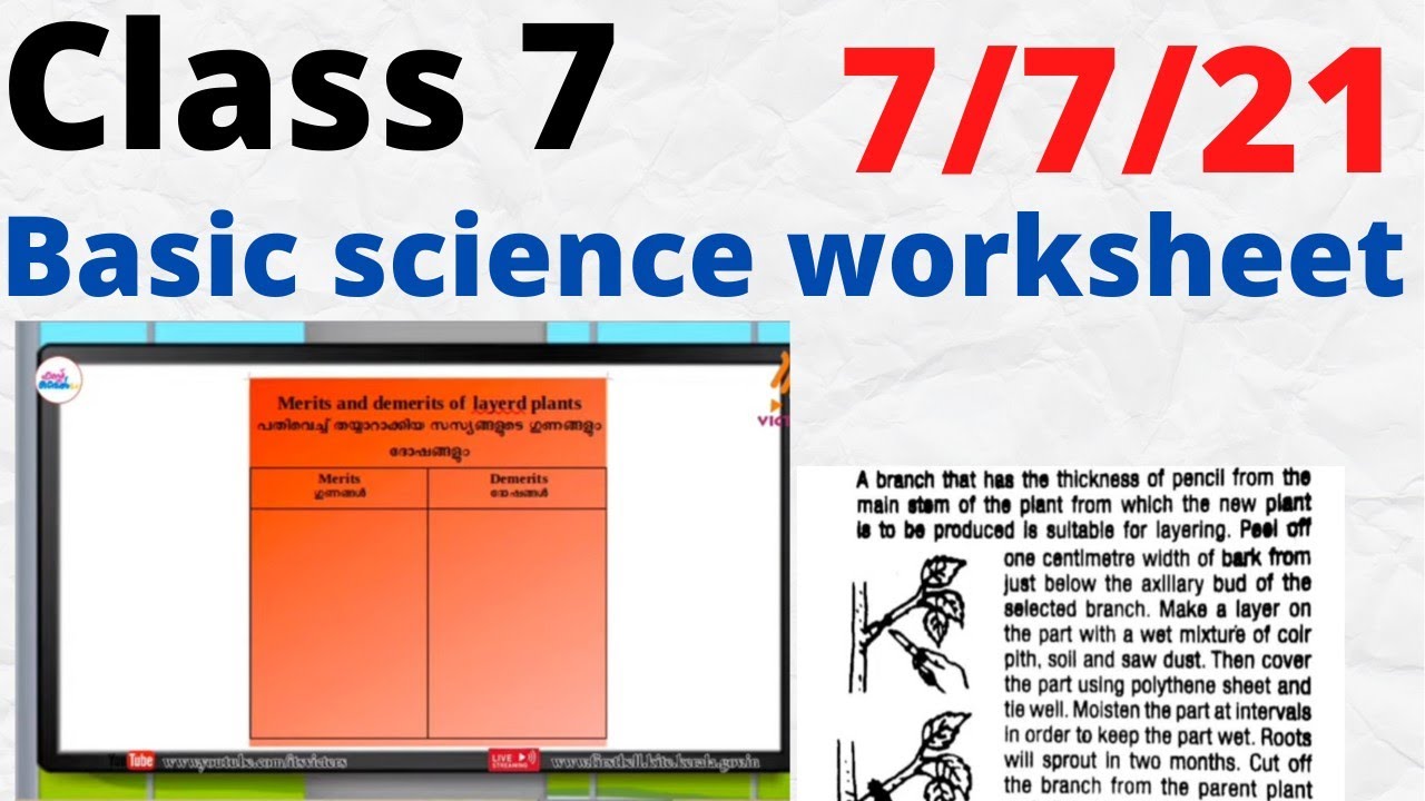 Class 7 Basic Science Worksheet 7 7 21 Victers 7th Std Basic Science Worksheet 7 7 21 class-7-basic-science-worksheet-7-7-21-victers-7th-std-basic-science-worksheet-7-7-21