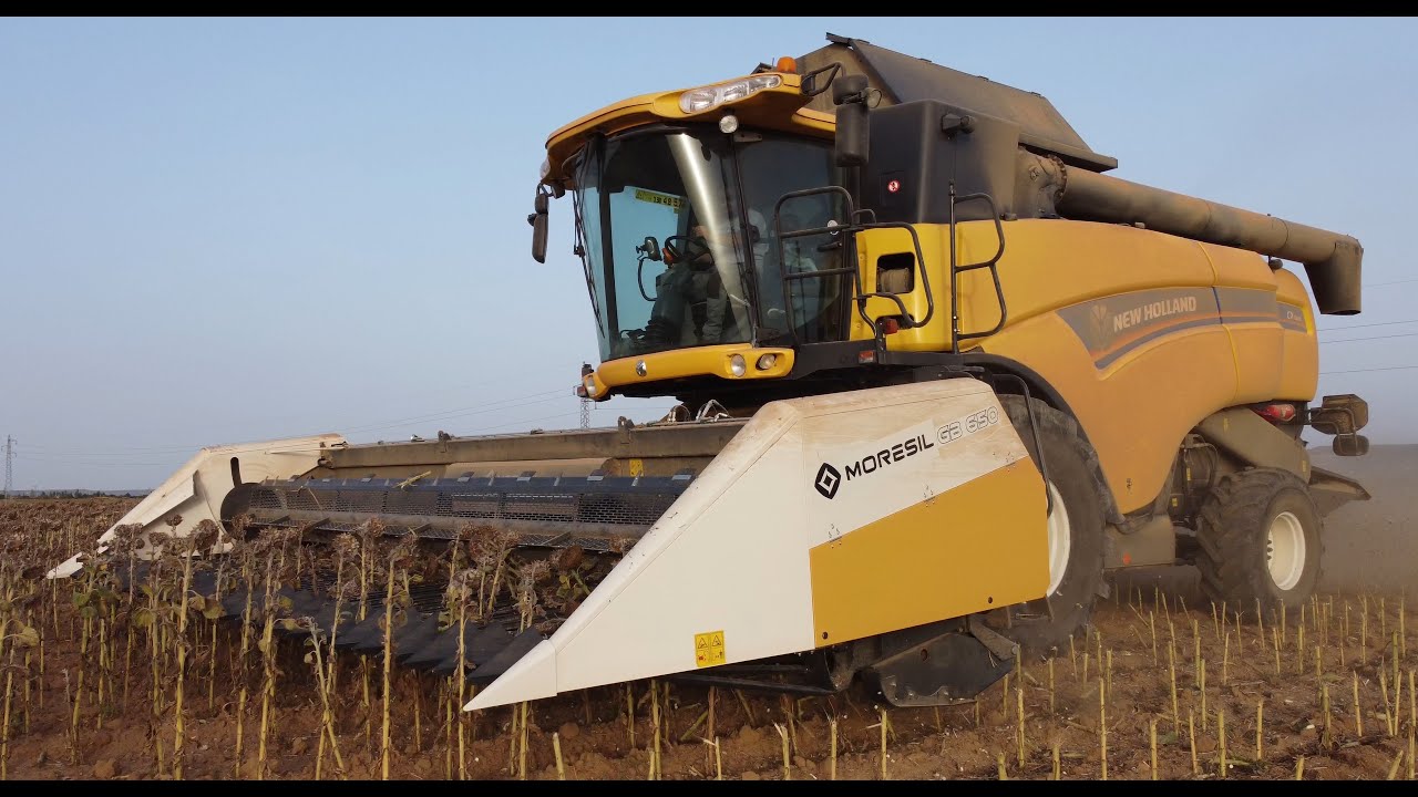 Cosechadora New Holland CX8060 con corte MORESIL GB650 . - YouTube