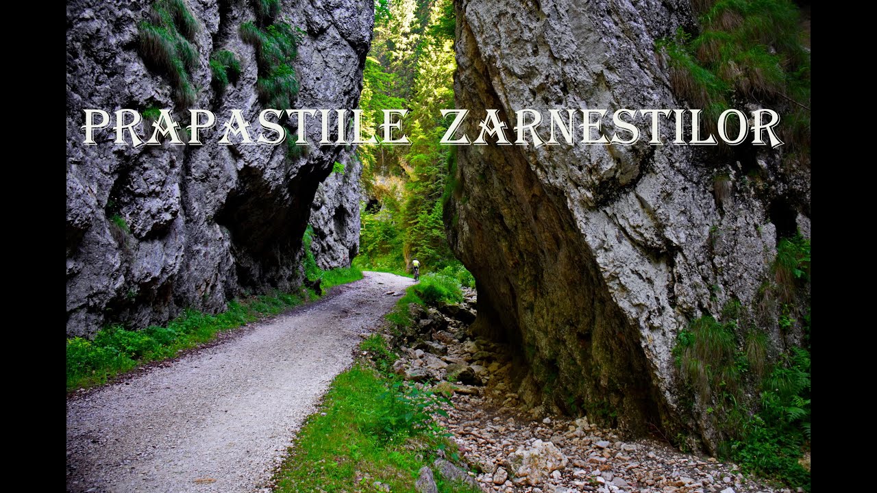 Prapastiile Zarnestilor🌲🦅🌳🦋🌞 - YouTube