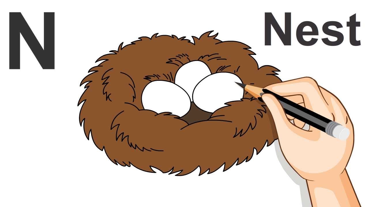 How to Draw Nest Step by Step | How to draw a NEST for kids | How To ...