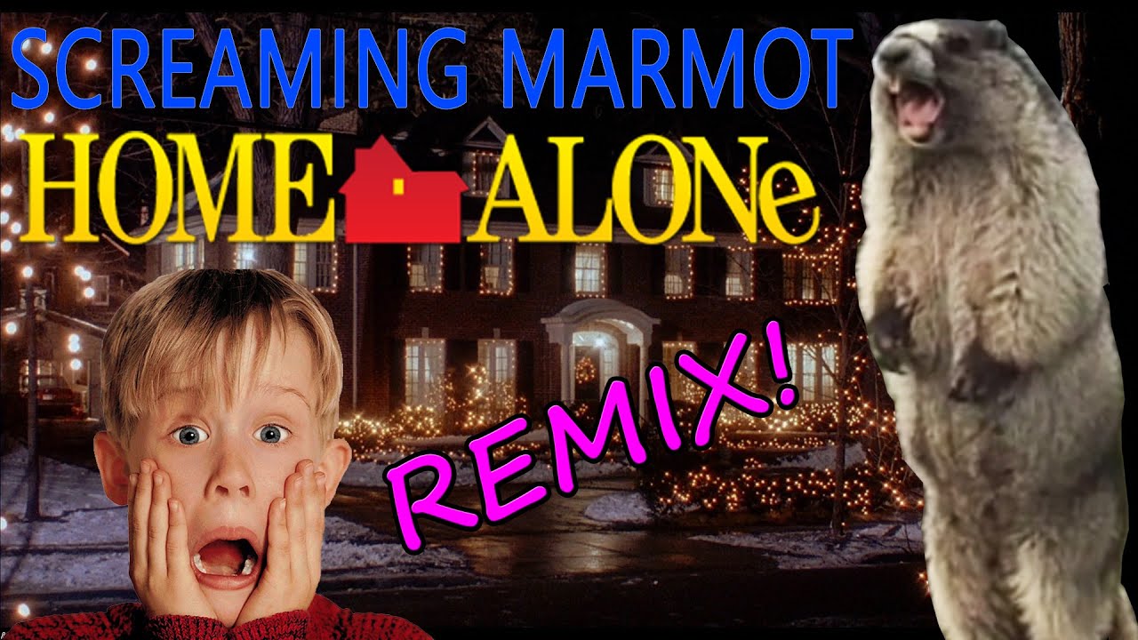The Screaming Marmot - Home Alone Remix - YouTube