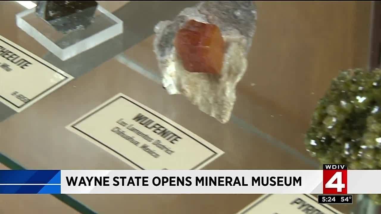 Wayne State opens Mineral Museum - YouTube