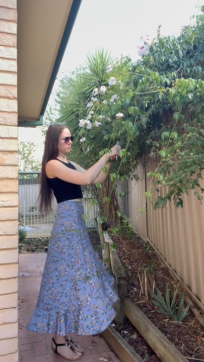 Pruning Youtube