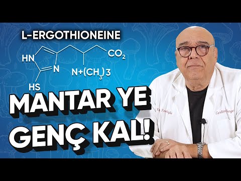 YENİ ANTİ-AGİNG VİTAMİN: Ergotionin / 5 Dakikada Sağlık