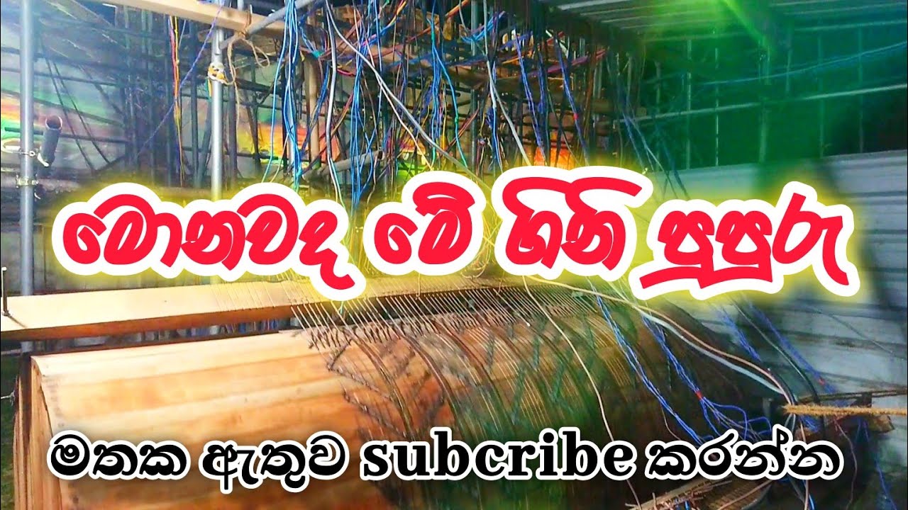 තොරණ් බැලුවට තොරණෙ පිටුපස දැකල නෑ නේද/thoran back side/poson thorana ...