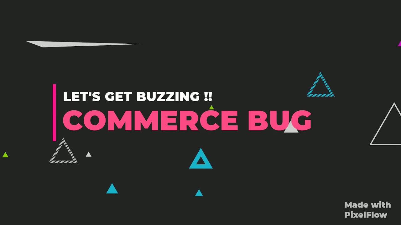 Commerce Bug - Promo - YouTube