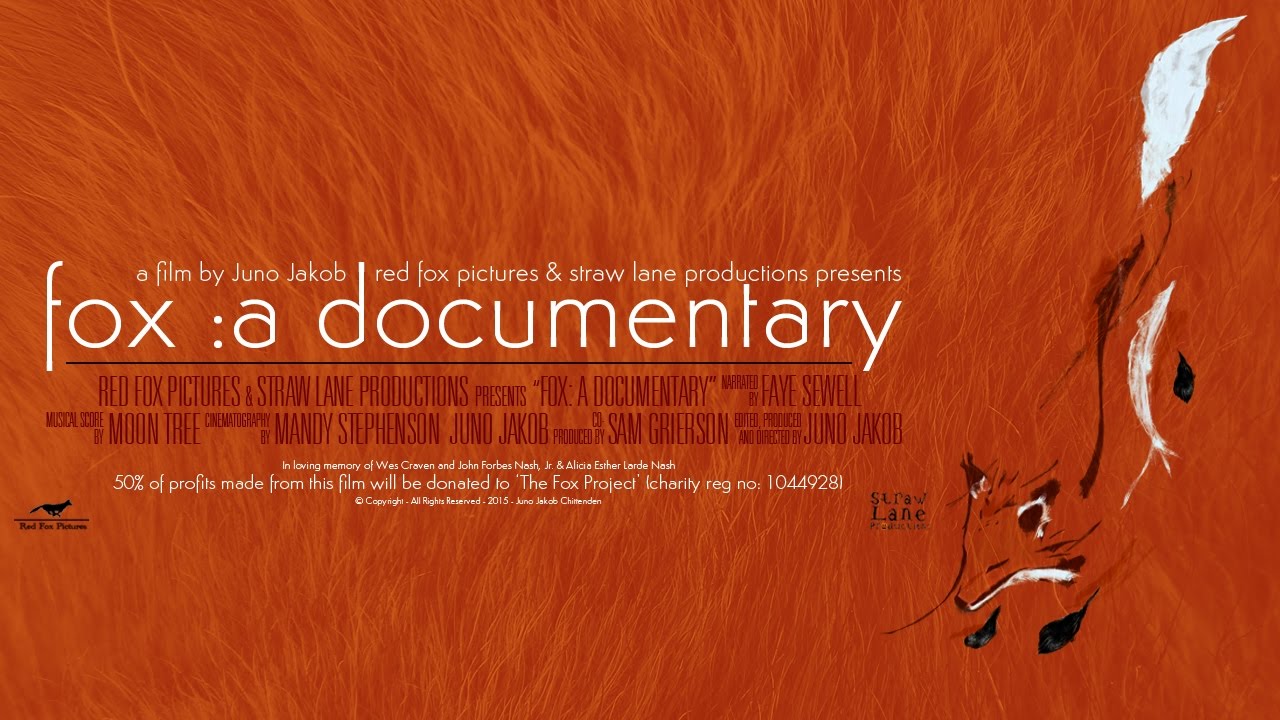 Fox: A Documentary - A Film by Juno Jakob - YouTube
