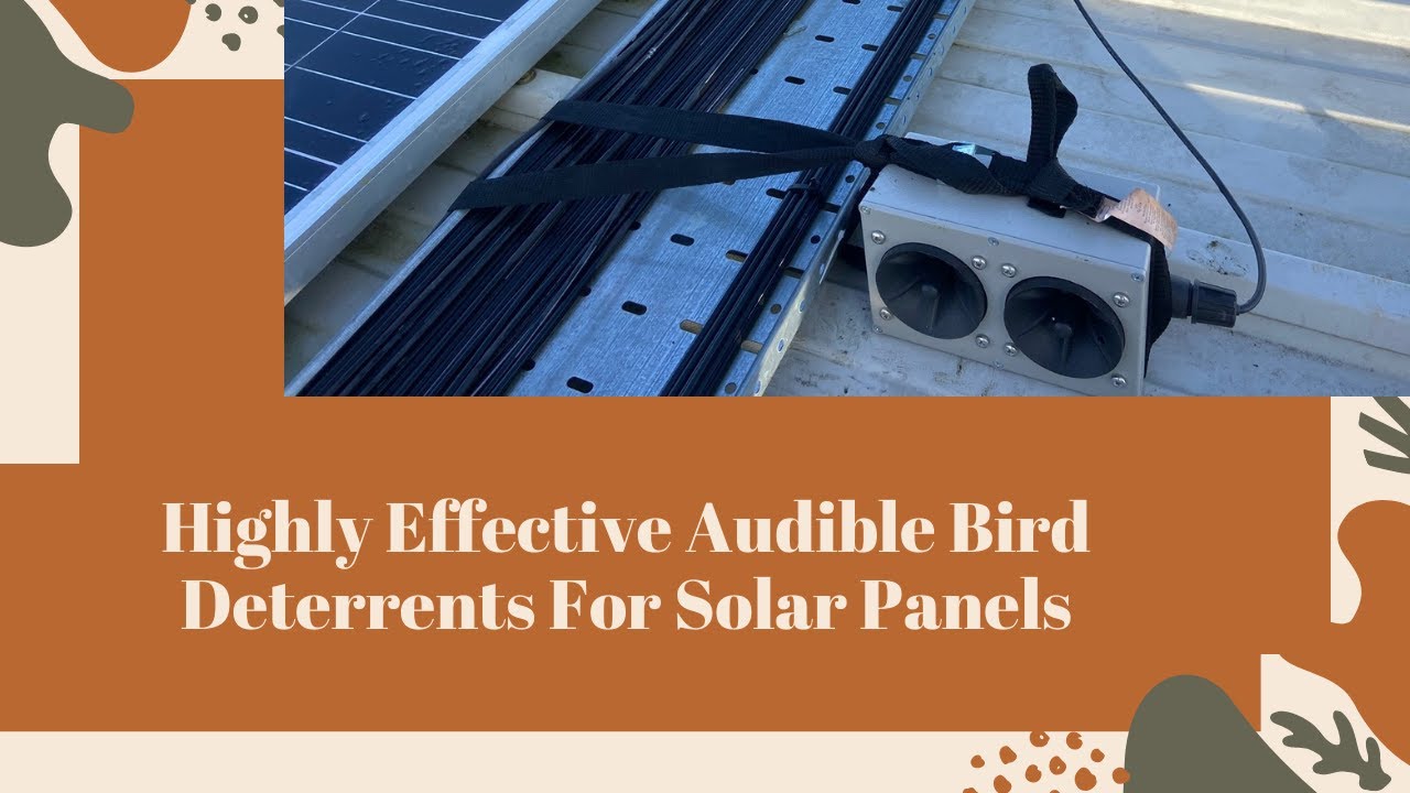 Audible Bird Deterrents To Keep Birds Off Solar Panels & Roofs - YouTube