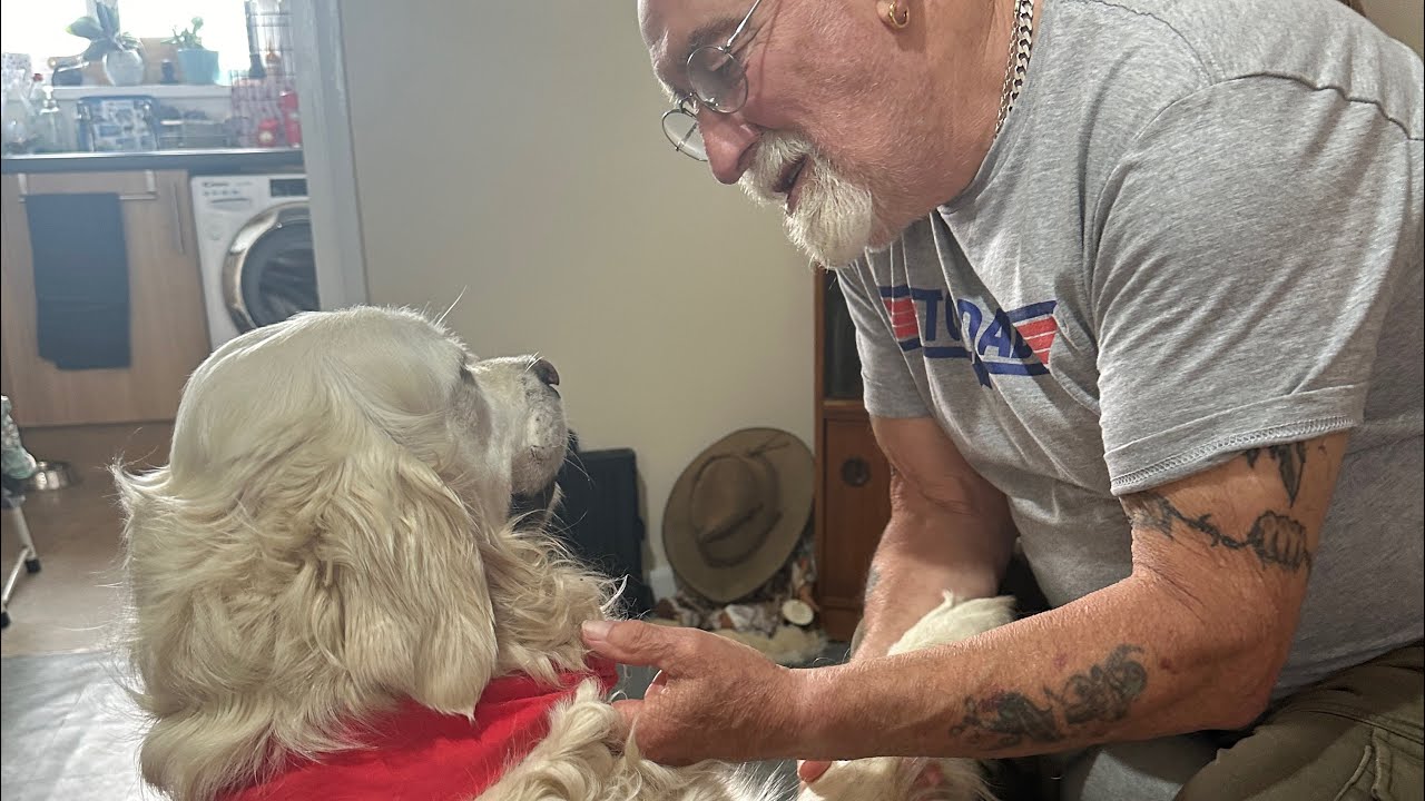 Be-a-friend visit with Mabel the Golden Retriever | Cariad Pet Therapy ...