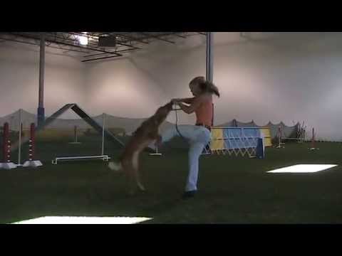 Whip obedience lesson with Bridget - YouTube