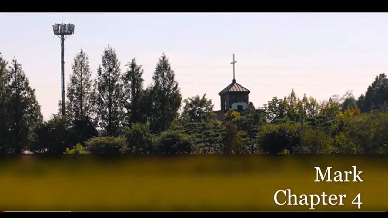 The Book of Mark Chapter 4 - Good News Translation (GNT) - Audio Bible ...