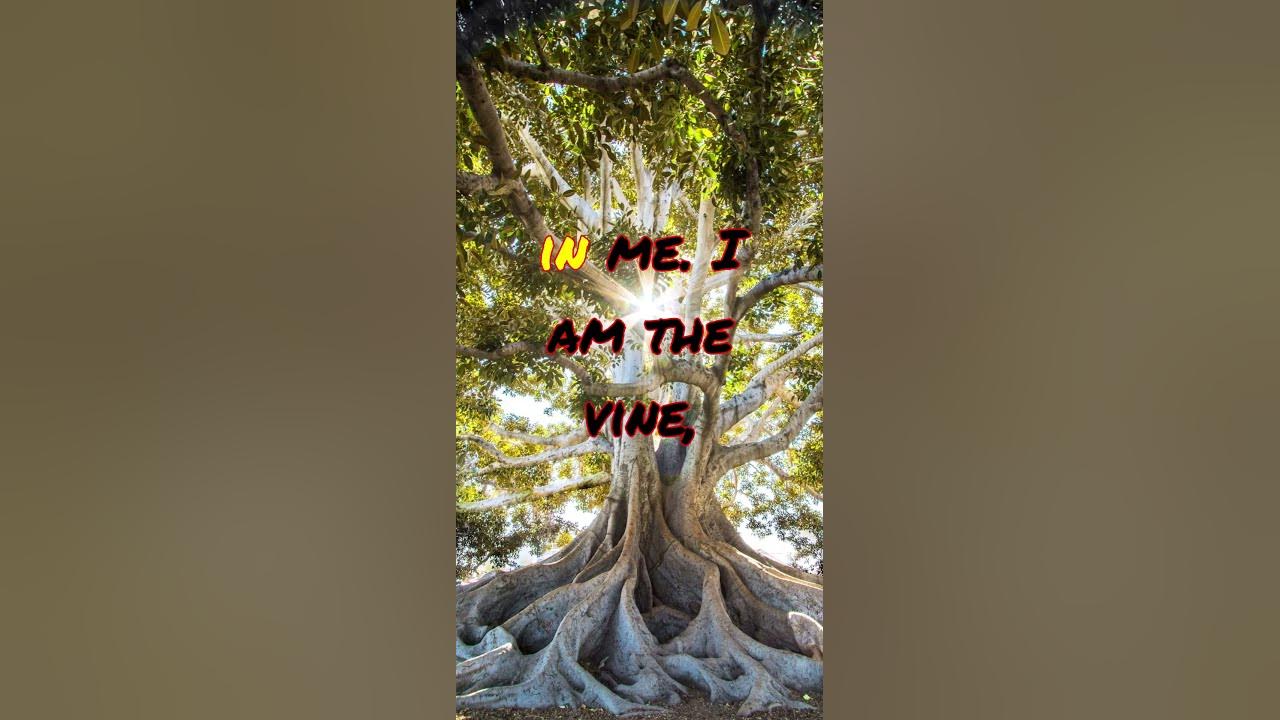john-15-4-5-abide-in-his-spirit-and-love-youtube
