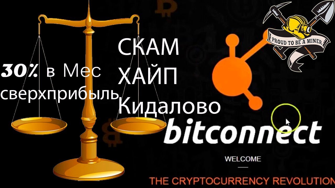 Обсудим bitconnect.co Мегадоход или Скам - Все или Ничего. Признаки ...