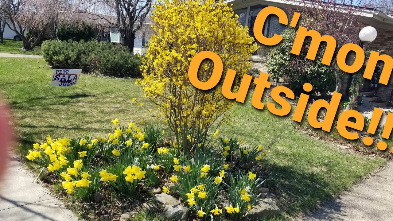 C'mon Outside! Growing Crazy With Jeanette - S2 E1 - YouTube
