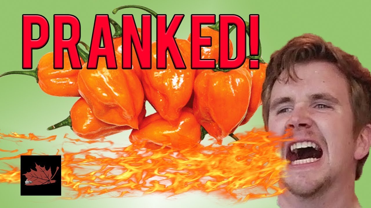 Hilarious Habanero Pepper Prank! (Krampus Christmas Cooking Tutorial ...