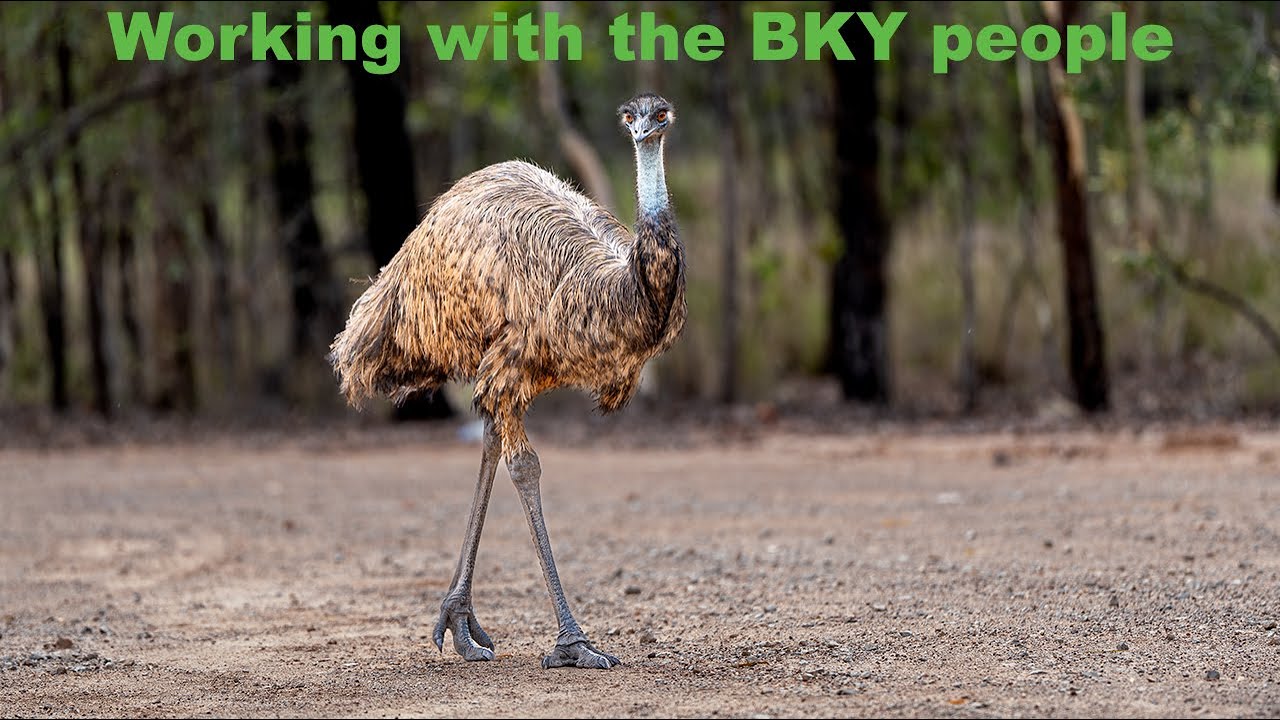 Working with the BKY - YouTube