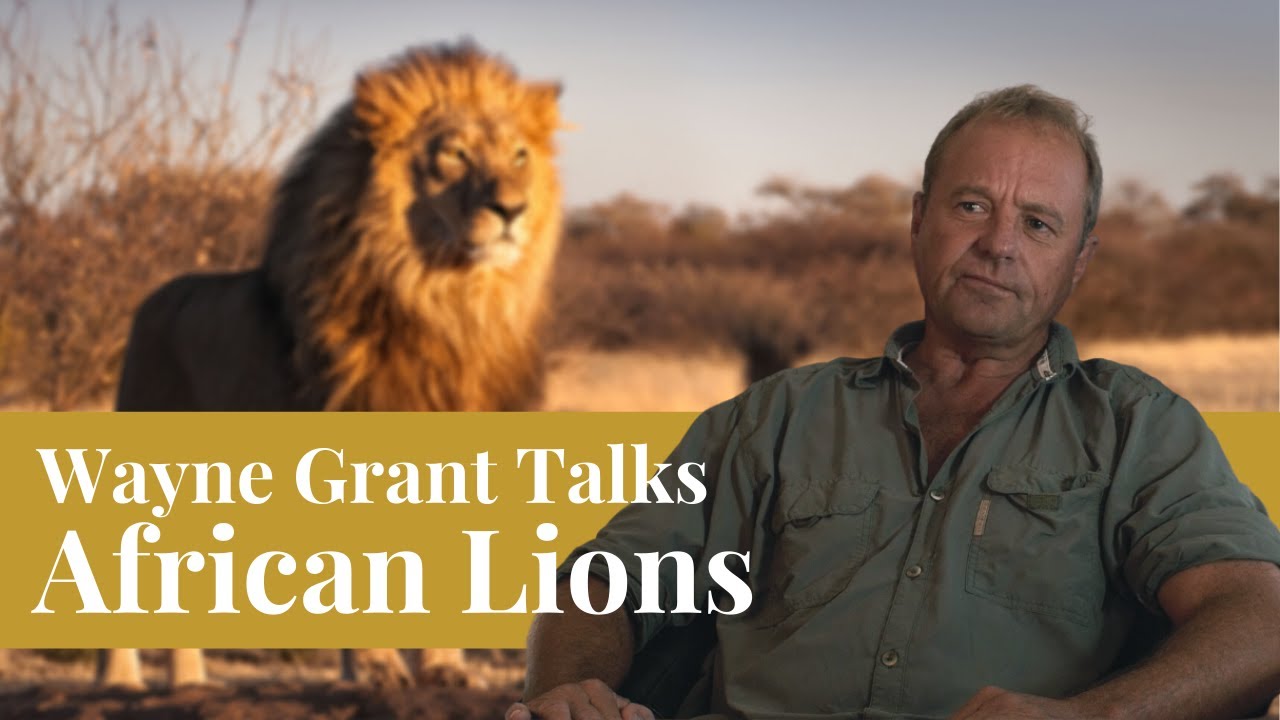Professional Hunter Wayne Grant Discusses Lions and His New Book - YouTube